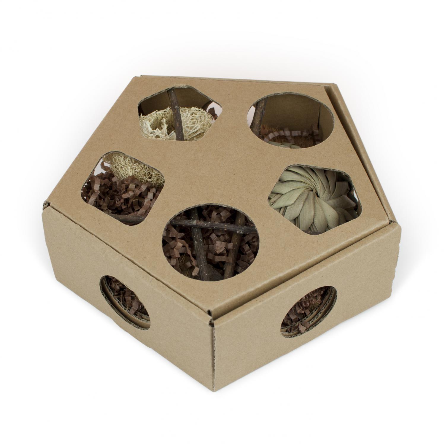 Pentagon Forage 'n Play Box / large 11051 Prevue Pet Products