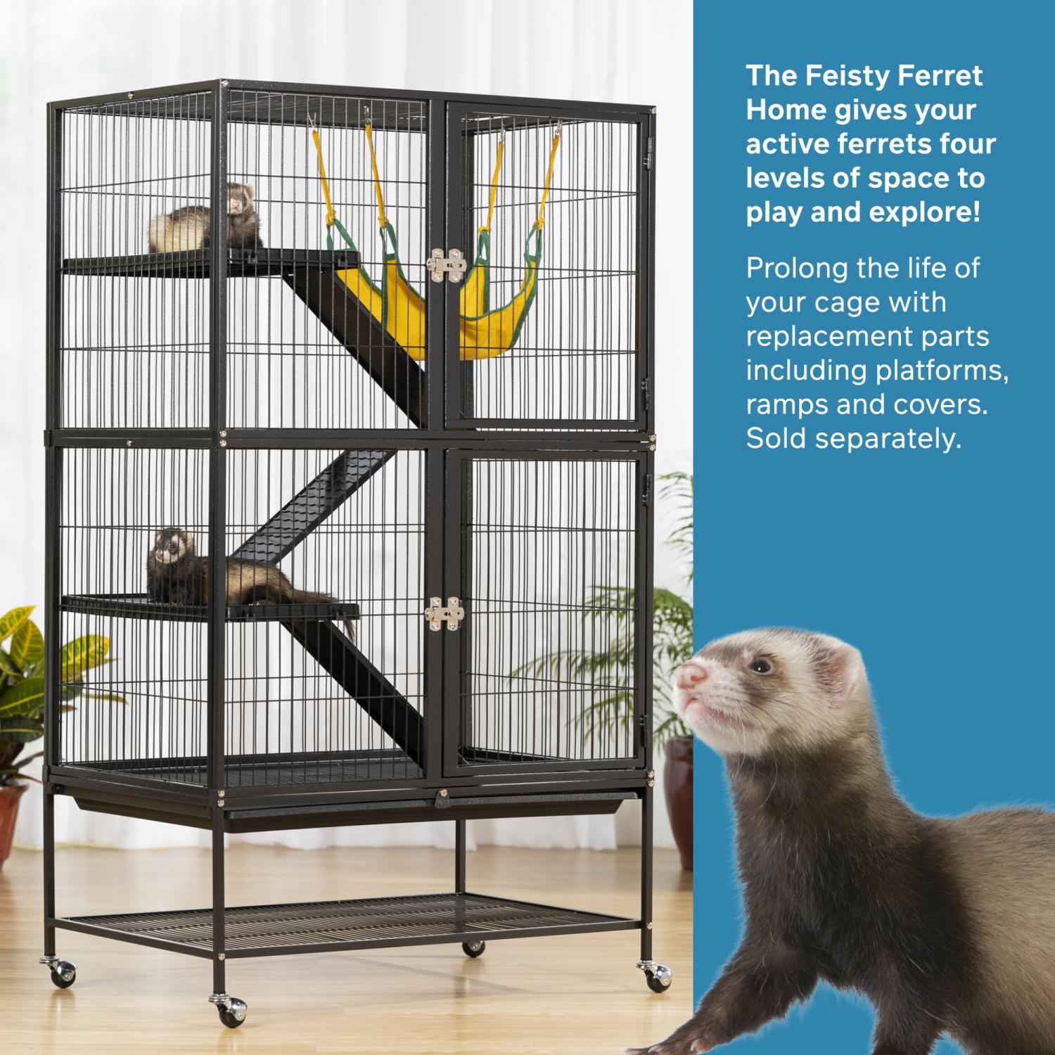 fixture ferrets