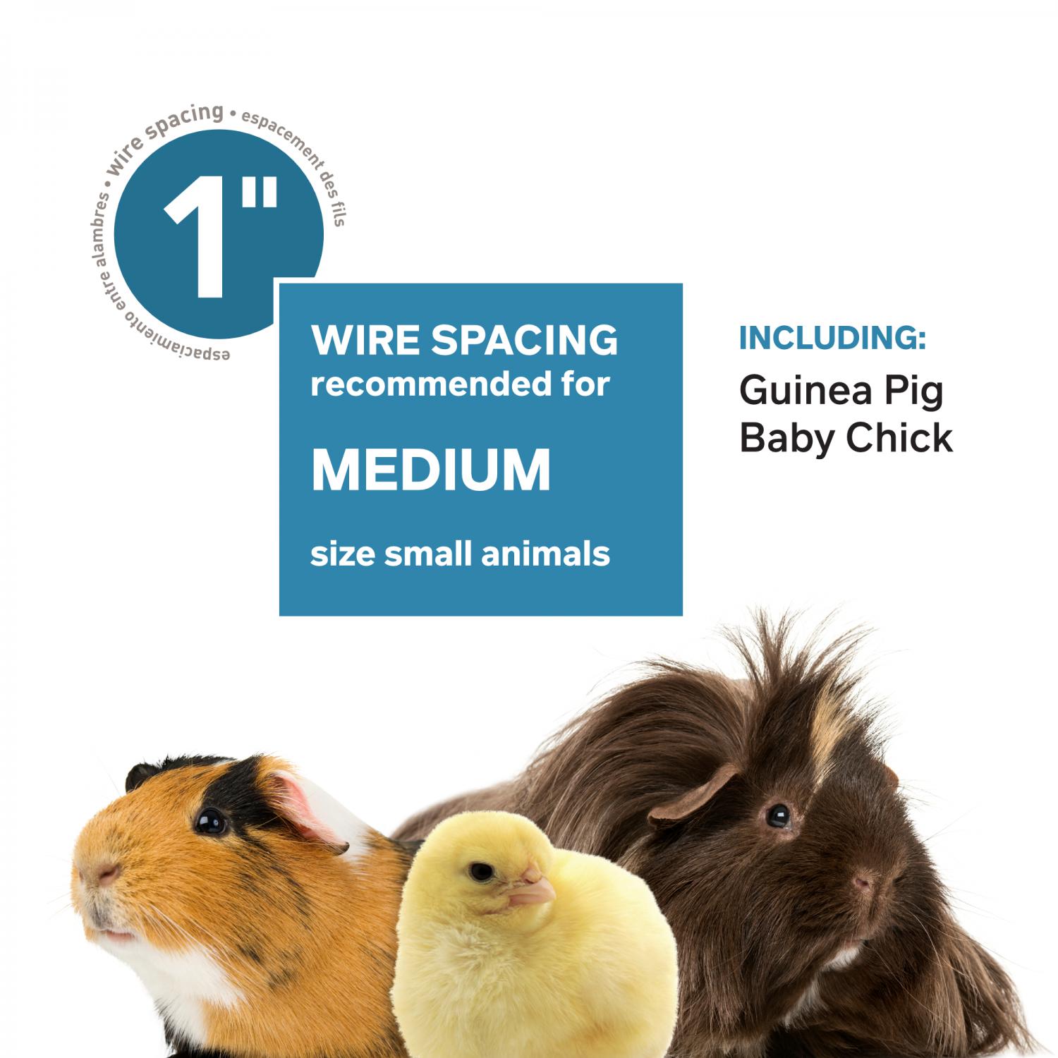 Small Animal Tubby Multipack (3 Pack) 3522 Prevue Pet Products